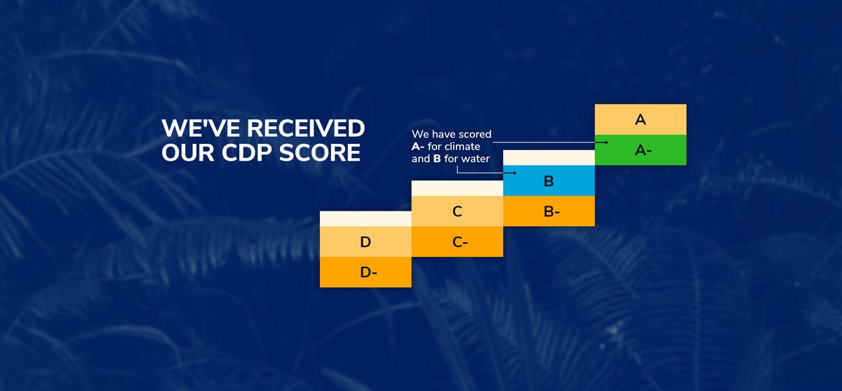 CDP Rating Confirms Continental’s Commitment to Climate Action