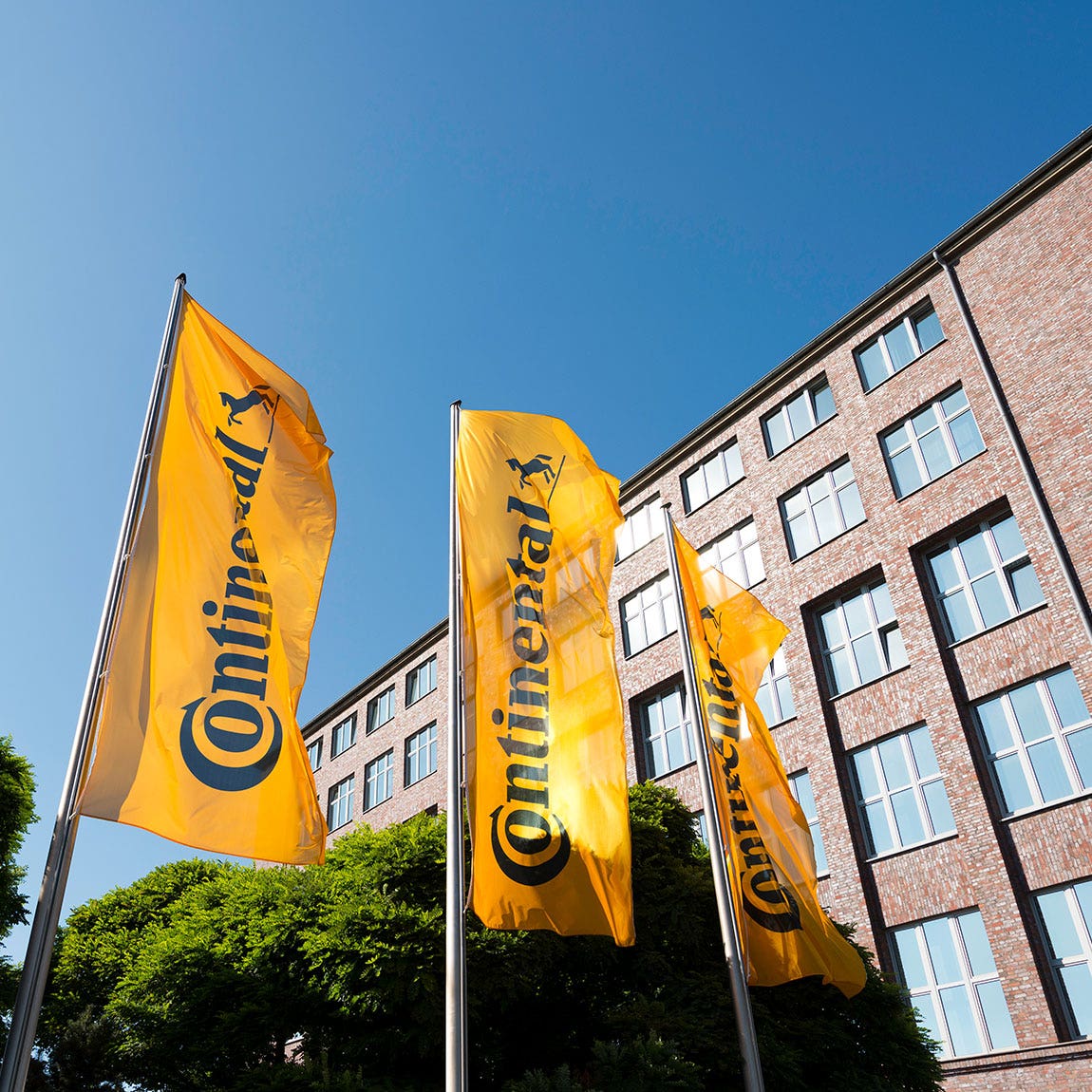 Data Protection Chinese | Continental Industry